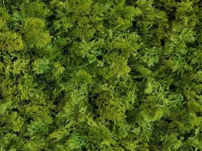 Shaggy moss green, dílec 50 x 50 cm