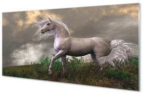 Obraz na skle Unicorn mraky 100x50 cm