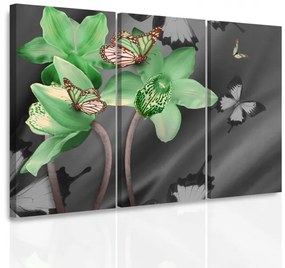 Vícedílný obraz - Zelená orchidej a motýli