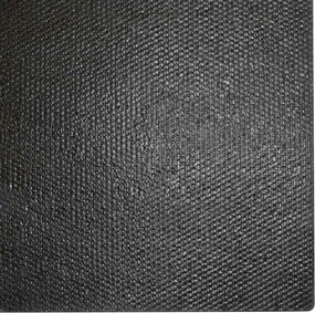 Rohožka před dveře černá 40 x 60 cm kokosové vlákno 155570