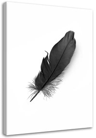 Obraz na plátně Peříčko Black Nature - 60x90 cm