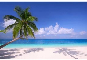 DIMEX | Samolepicí vliesová fototapeta na zeď Pláž s palmou MA-5-0194 | 375 x 250 cm | zelená, modrá, bílá