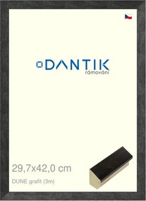 DANTIK rámeček 29,7x42 | DUNE grafit (Plexi Čiré)
