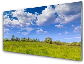 Obraz na skle Louka Tráva Nebe Krajina 100x50 cm