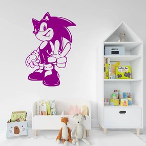 Živá Zeď Samolepka na zeď Postava Ježek Sonic Barva: černá