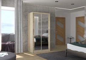 ADRK Furniture Posuvná skříň se zrcadlem NEVIO 100 SW-NEV-S-100+A647