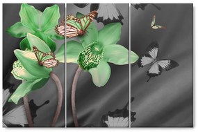 Malvis ® Vícedílný obraz - Zelená orchidej a motýli Velikost (šířka x výška): 90x60 cm