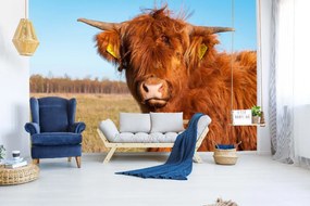 DIMEX | Samolepicí vliesová fototapeta na zeď Dlouhosrstá kráva MA-5-0461 | 375 x 250 cm | zelená, modrá, hnědá