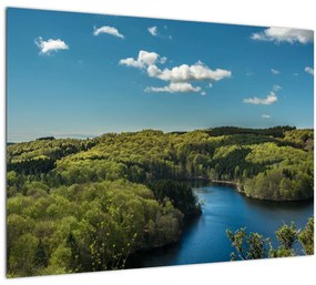 Obraz - Jezero v lesích (70x50 cm)