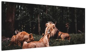 Obrazy - lvi v lese (100x40cm)