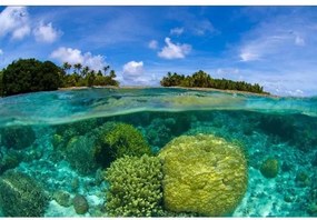 DIMEX | Samolepicí vliesová fototapeta na zeď Korálový útes MA-5-0200 | 375 x 250 cm | tyrkysová, zelená, modrá