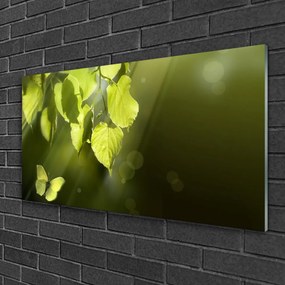 Obraz na skle Listy Slunce Paprsky 120x60 cm