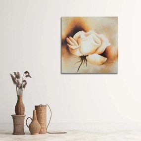 Obraz na plátně Růže Květina Bílá příroda - 60x60 cm