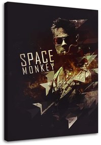 Gario Obraz na plátně Klub rváčů, Space Monkey Brad Pitt - SyanArt Rozměry: 40 x 60 cm