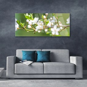 Plexisklo-obraz Květiny Větve Listy Sad 125x50 cm