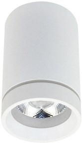 Stropní svítidlo BILL, LED 10W - AZ3375 - Azzardo