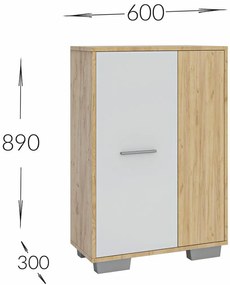 Casarredo Obývací stěna ZETA jasan zlatý/bílá