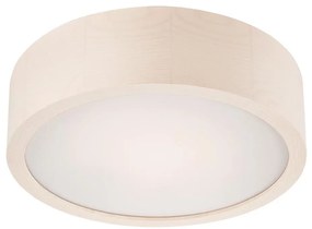 LED Stropní svítidlo 1xLED/12W/230V