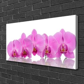 Obraz na plátně Růžová Orchidej Květiny 125x50 cm