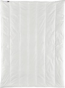 XXXLutz CELOROČNÍ PŘIKRÝVKA, 200/220 cm, polyester Centa-Star - Přikrývky - 003503029404