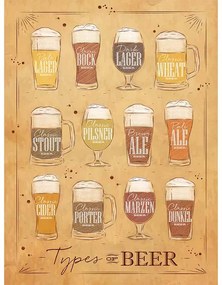 Cedule Types Of Beer 40 x 30cm
