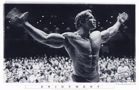 Plakát, Obraz - Arnold Schwarzenegger - Enjoyment, (91.5 x 61 cm)