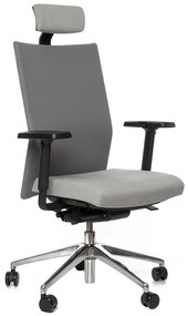 Kancelářská židle Omega 290-SYS-PN HO BR-210 F80-N6 RM60 UP-Down BO-AIR C60003/U60011