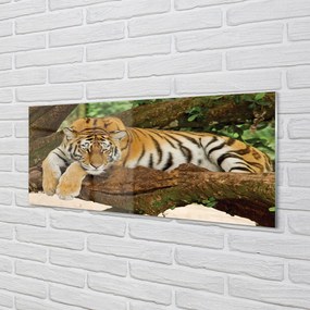 akrylový obraz tiger tree 120x60 cm