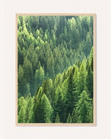 Oboustranný plakát Divoké Borovice / Mech | 30 x 42 cm | DP351317
