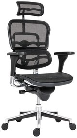 Kancelářská židle ERGOHUMAN-MESH CERNA