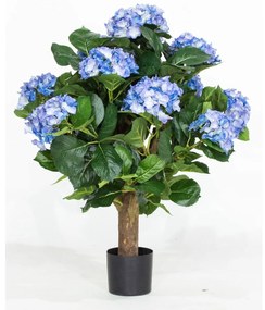 HYDRANGEA - Hortenzie, modrá Výška: 62 cm