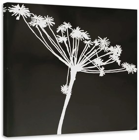 Obraz na plátně Květina Černobílá příroda - 40x40 cm