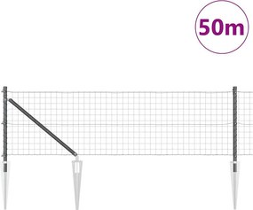 Evropský plot se hroty 50 x 0,6 m Ocel potažená PVC Šedá 3350692