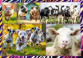 TREFL Puzzle Zábavná zvířata / 4x 250 dílků / od 7 let