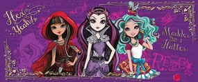 Postershop Fototapeta: Mattel Ever After High (4) - 104x250 cm