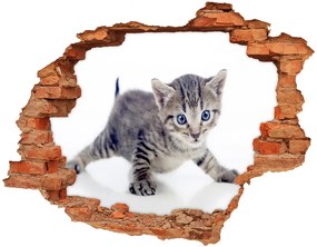 Wallmuralia Samolepící díra nálepka Malá kočka 90x70 cm