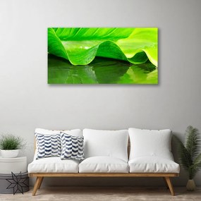 Obraz na plátně Liść Roślina Natura 125x50 cm