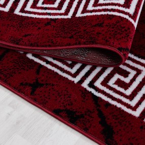 Ayyildiz, Kusový koberec Plus 8009 red, 80x150, červená, obývací pokoj