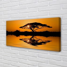Obrazy na plátně Sunset tree 125x50 cm