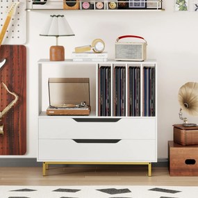 Costway Stojan na gramofon s 4 vinylovými přihrádkami a 2 zásuvkami Retro