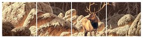 Obraz jelena (160x40 cm), 40 dalších rozměrů