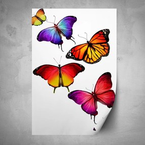 Plakát - Barevní motýli (80x120 cm) - PopyDesign