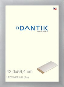 DANTIK rámeček 42x59,4 | LEDVINKA bílá (Plexi Čiré)