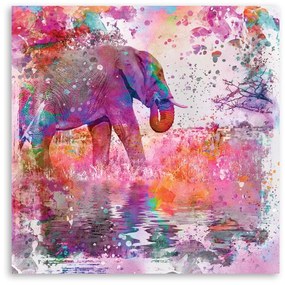 Gario Obraz na plátně Slon mezi barvami - Andrea Haase Rozměry: 30 x 30 cm