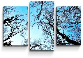 Sablio Obraz - 3-dílný Holé větve - 75x50 cm