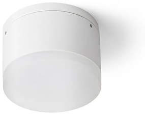 RENDL R13626 ORIN LED venkovní světlo, stropní IP54 bílá satinovaný akryl