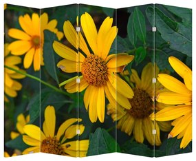 Paraván - Žluté květiny (210x170 cm)