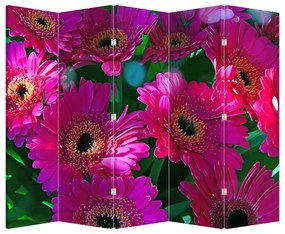 Paraván - Květiny (225 x 180 cm)