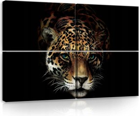 Obraz 120x80 Jaguar dravec divoká příroda oči síla grácie noc