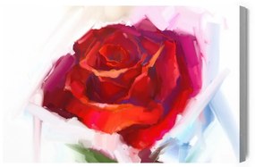 Obraz Růže Jako Malovaná Nedostatek Nedostatek Přírodní plátno 30x20